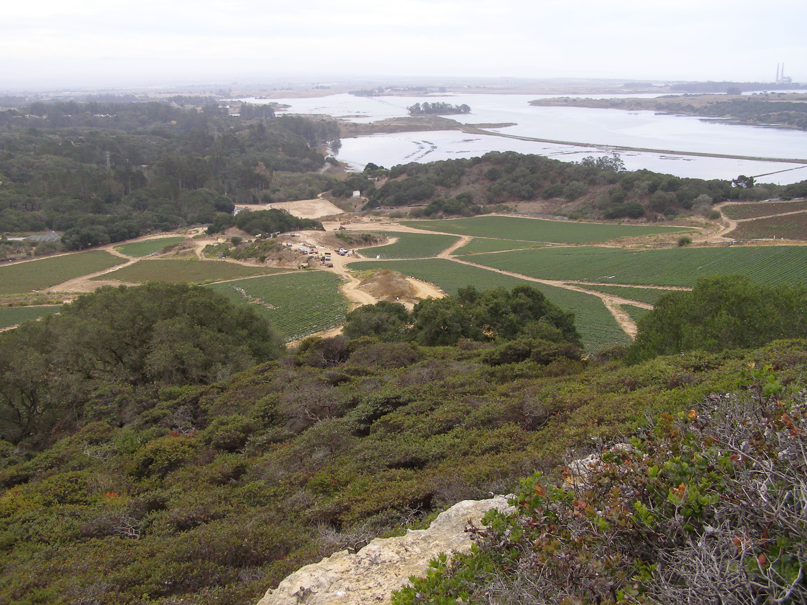 ESF Buys 107-Acre Sand Hill Farm - Elkhorn Slough