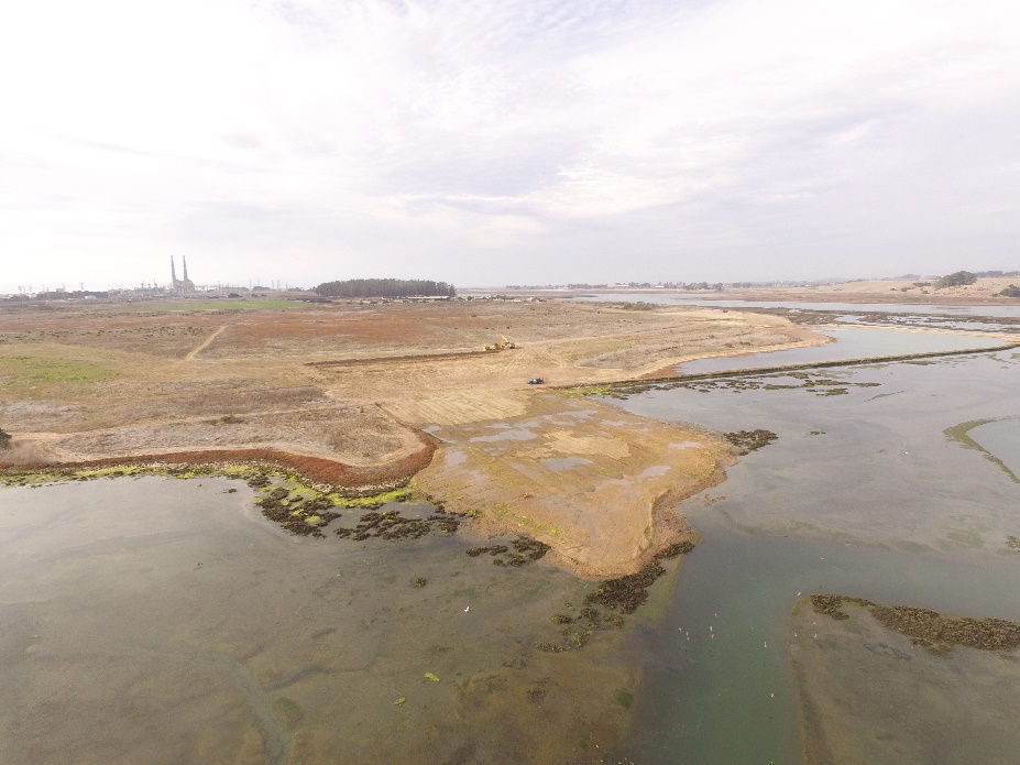 Hester Marsh: Vista de Slough - Elkhorn Slough