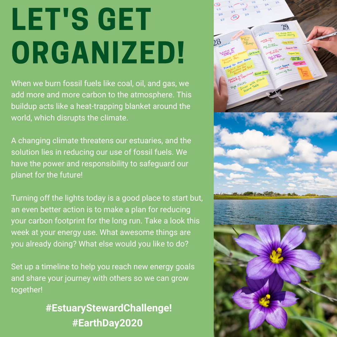 Celebrating the Earth – Year Round Actions to support our...