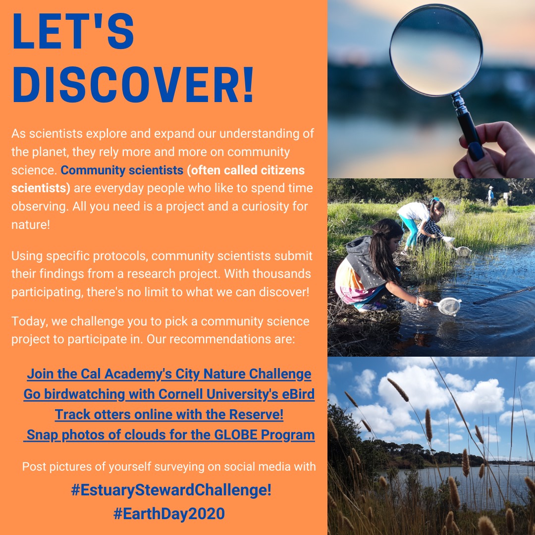 Celebrating the Earth – Year Round Actions to support our...