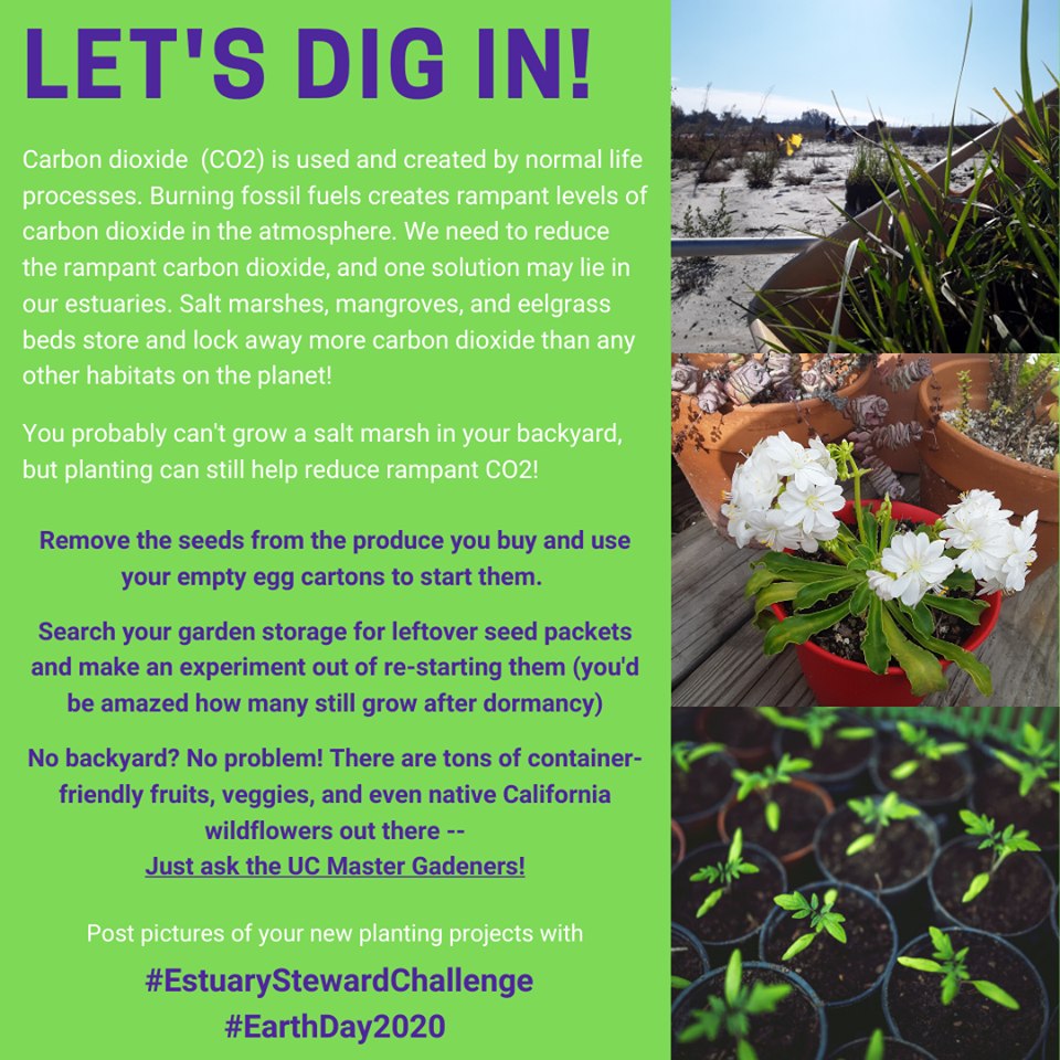 Celebrating the Earth – Year Round Actions to support our...