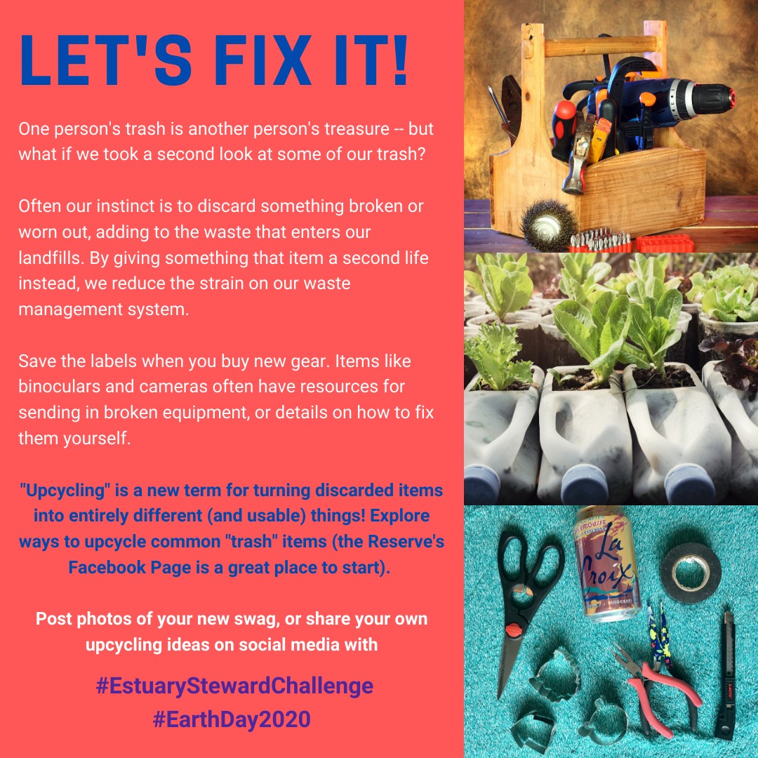 Celebrating the Earth – Year Round Actions to support our...