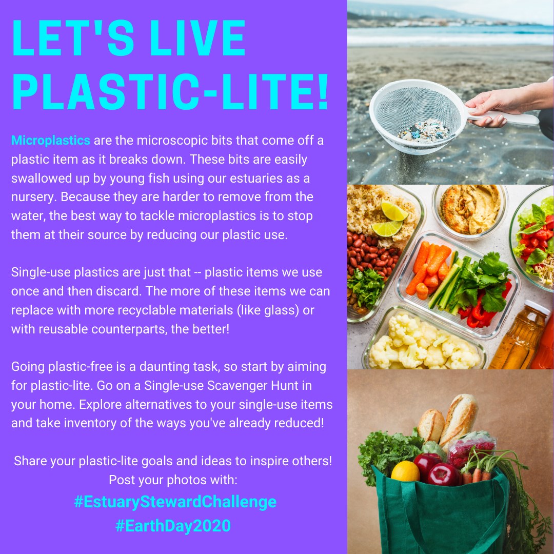 Celebrating the Earth – Year Round Actions to support our...