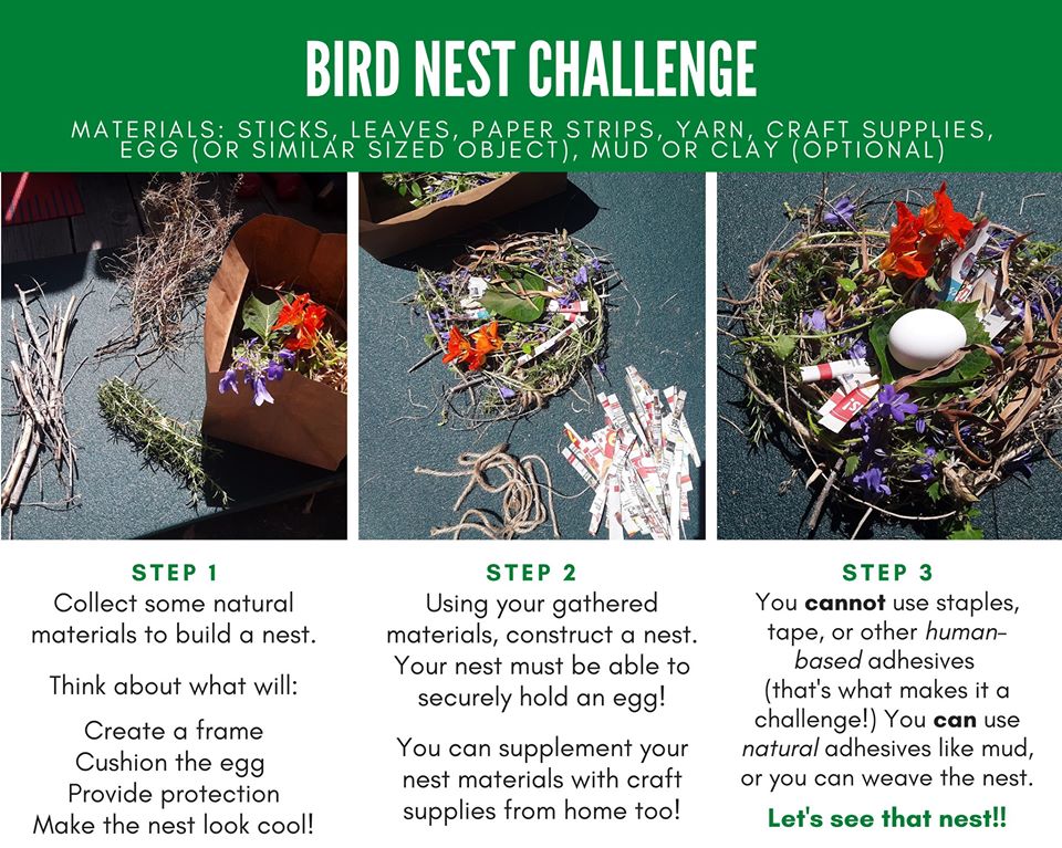 Virtual Event: Learn About Migratory Birds - Elkhorn Slough