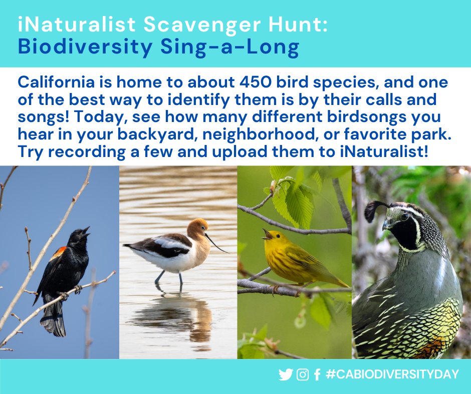 Virtual Event: Biodiversity Week - Elkhorn Slough