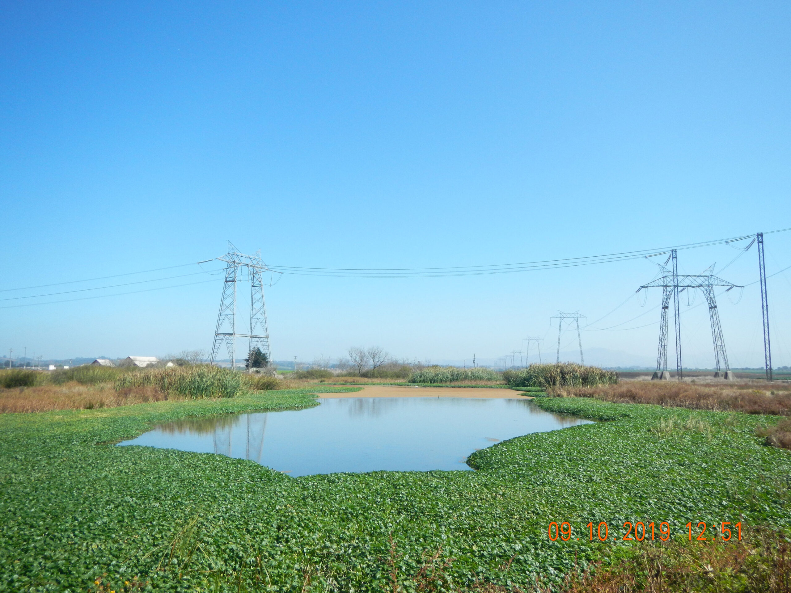 News Release: Elkhorn Slough Foundation Acquires....